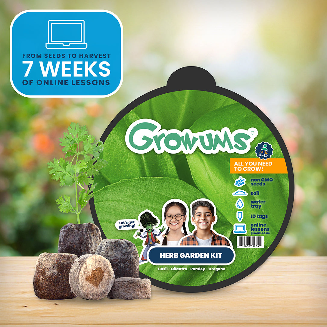 Herb Garden Kit – Growums Gardens