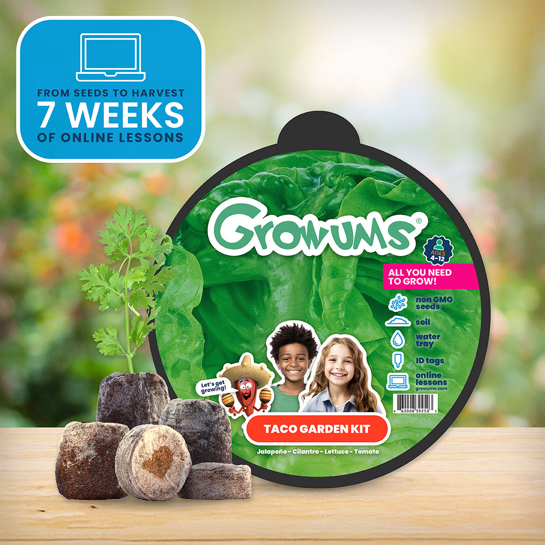 Taco Garden Kit – Growums Gardens
